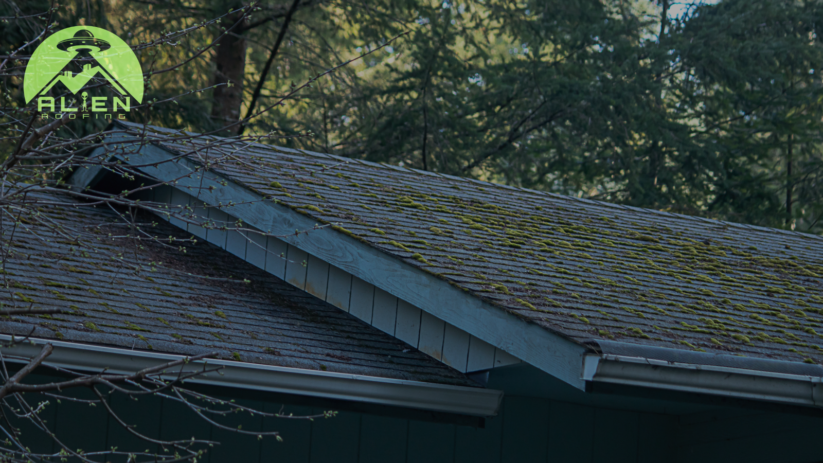 5 SIGNS IT’S TIME TO REPLACE YOUR ROOF - ALIEN ROOFING